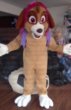 Kid's Birthday Party Character Mascot Costume Rental!