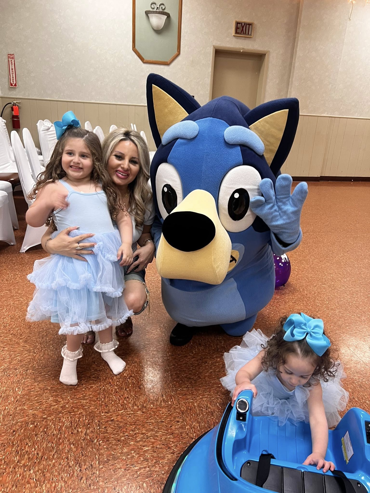 Bay Area Birthday Party Characters!